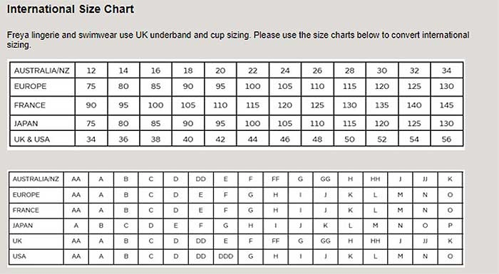 Freya Lingerie Freya Fancies Longline Bra AA1014 Black | Zodee Australia